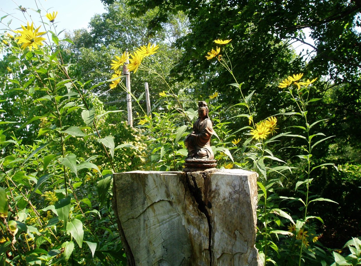 Workshops & Classes – Ruby-Throated Spirit